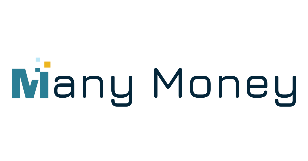 책임의 한계 및 면책 조항 - Many Money