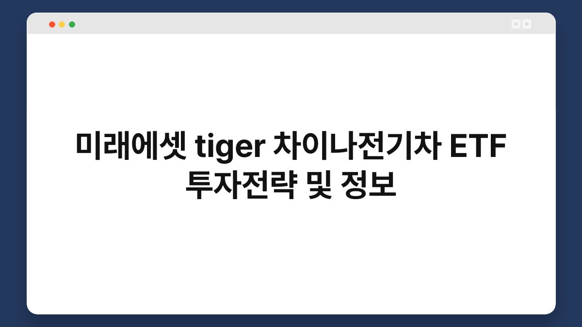 미래에셋 tiger 차이나전기차 ETF 투자전략 및 정보 - Manymoney